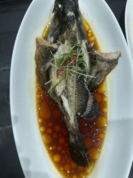 石斑鱼图片价格_石斑鱼多少钱一斤-第2张图片-山城妙识