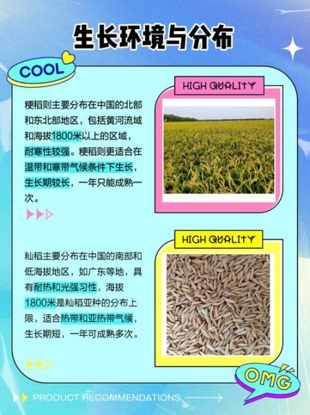 粳籼怎么读_粳籼有什么区别-第1张图片-山城妙识