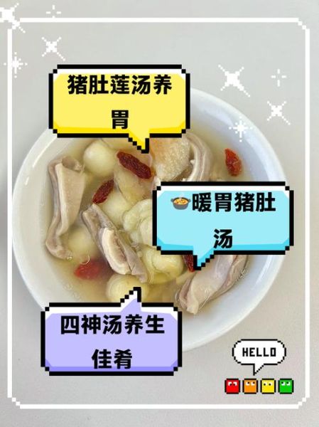 猪肚子怎么做最好吃_猪肚汤怎么炖才白-第2张图片-山城妙识