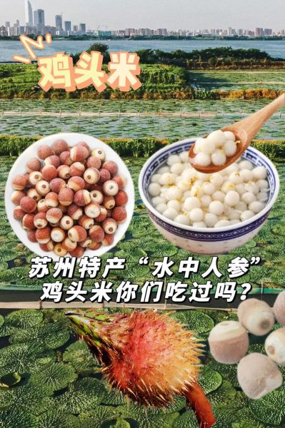 新鲜鸡头米煮多久_鸡头米煮多久才软糯-第2张图片-山城妙识