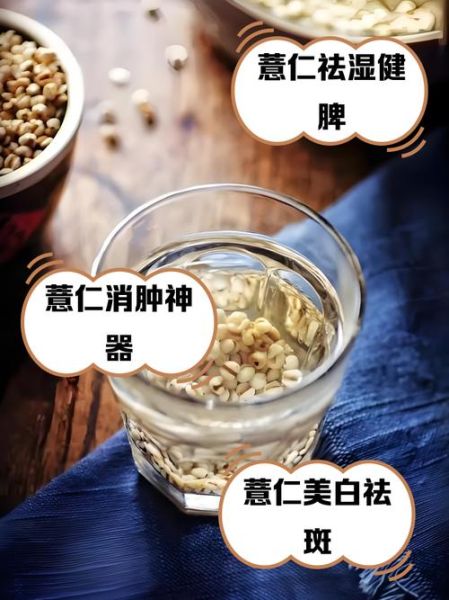 薏仁水可以天天喝吗_薏仁水功效与禁忌-第1张图片-山城妙识