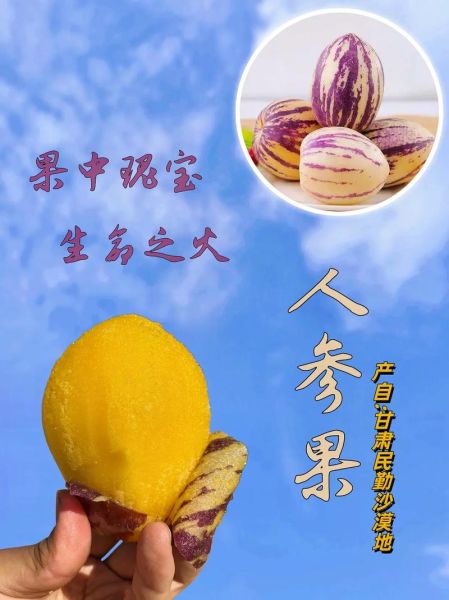 青海人参果怎么吃_人参果的功效与做法-第2张图片-山城妙识