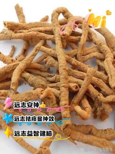 远志毒性有多大_远志中毒怎么办-第1张图片-山城妙识