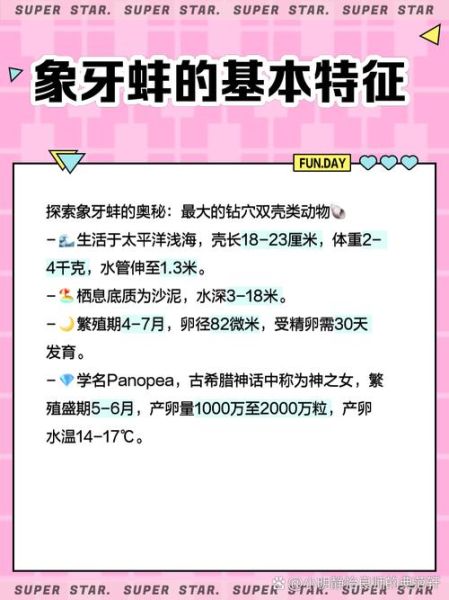 象牙蚌女生能用吗_女生使用象牙蚌注意事项-第1张图片-山城妙识