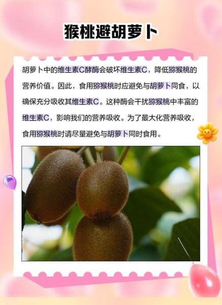 猕猴桃哪些人不能吃_吃猕猴桃的禁忌人群-第3张图片-山城妙识