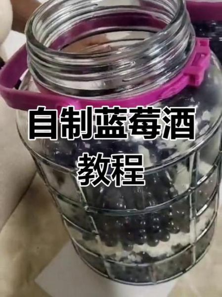 蓝莓酒怎么做最正宗_蓝莓酒发酵温度是多少-第1张图片-山城妙识