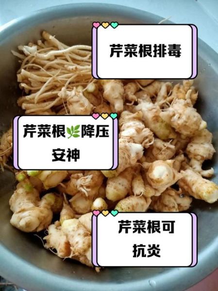 芹菜根可以生吃吗_芹菜根的功效与作用-第1张图片-山城妙识