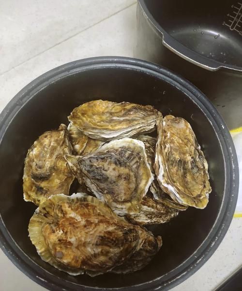 生蚝怎么清洗才干净_生蚝清洗最简单方法-第2张图片-山城妙识