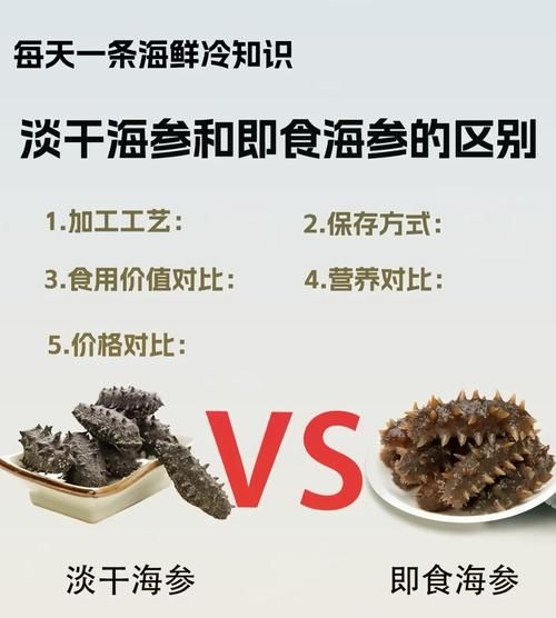 半干海参和全干海参哪个好_区别与选购指南-第1张图片-山城妙识