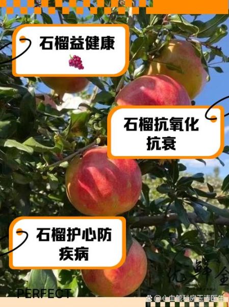石榴的功效与作用_石榴的营养价值高吗-第2张图片-山城妙识