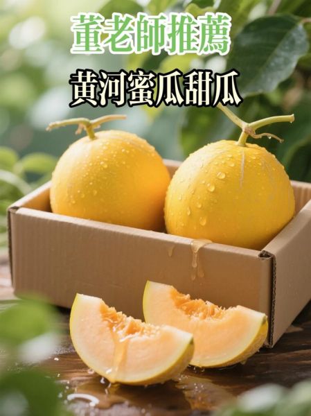 黄河蜜瓜的功效与作用_孕妇能吃吗-第1张图片-山城妙识 黄河蜜瓜的功效与作用_孕妇能吃吗-第1张图片-山城妙识