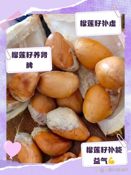 榴莲籽能吃吗_榴莲籽的功效与作用-第1张图片-山城妙识