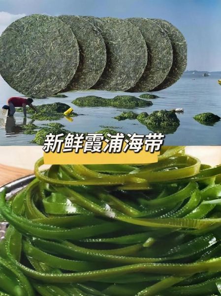 袋装干海带丝怎么泡发_袋装干海带丝怎么处理-第2张图片-山城妙识