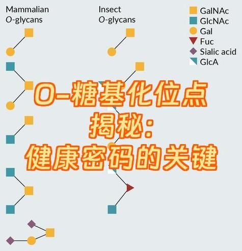 蛋白糖基化检测方法_糖基化位点如何验证-第2张图片-山城妙识