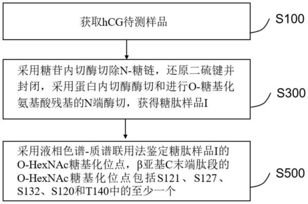 蛋白糖基化检测方法_糖基化位点如何验证-第3张图片-山城妙识