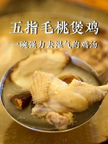 五指毛桃煲鸡汤禁忌_什么人不能喝-第3张图片-山城妙识