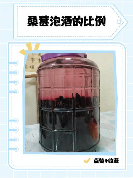 桑葚泡酒制作方法_桑葚泡酒比例是多少-第2张图片-山城妙识