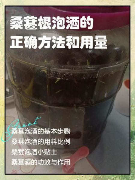 桑葚泡酒制作方法_桑葚泡酒比例是多少-第3张图片-山城妙识