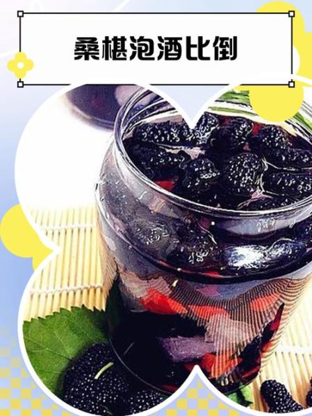 桑葚泡酒制作方法_桑葚泡酒比例是多少-第1张图片-山城妙识