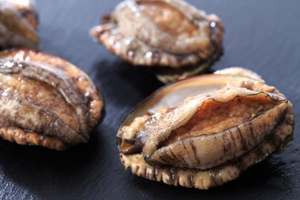 鲍鱼是什么意思_网络用语鲍鱼是什么梗-第1张图片-山城妙识 鲍鱼是什么意思_网络用语鲍鱼是什么梗-第1张图片-山城妙识