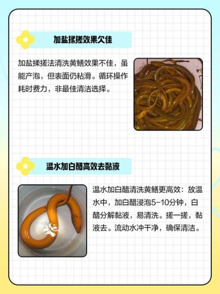 黄鳝怎么处理比较干净_黄鳝去粘液技巧-第2张图片-山城妙识