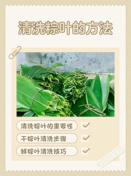 干粽叶怎么处理不容易破_干粽叶泡多久不裂-第2张图片-山城妙识