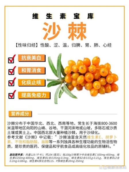 沙棘果的功效与作用适合人群_沙棘果什么人不能吃-第1张图片-山城妙识