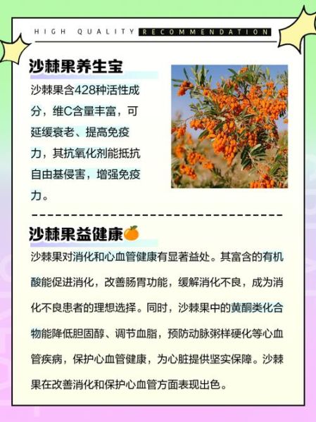 沙棘果的功效与作用适合人群_沙棘果什么人不能吃-第3张图片-山城妙识