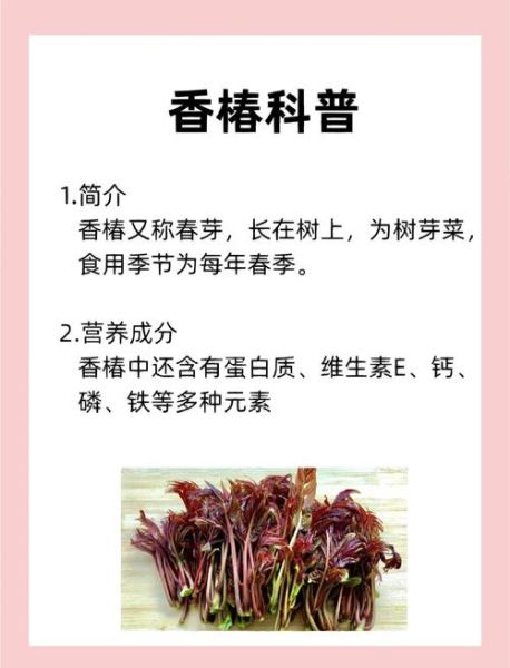 香椿树皮的功效与作用_香椿树皮怎么用-第3张图片-山城妙识 香椿树皮的功效与作用_香椿树皮怎么用-第3张图片-山城妙识