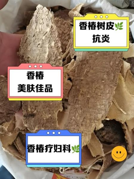 香椿树皮的功效与作用_香椿树皮怎么用-第2张图片-山城妙识 香椿树皮的功效与作用_香椿树皮怎么用-第2张图片-山城妙识