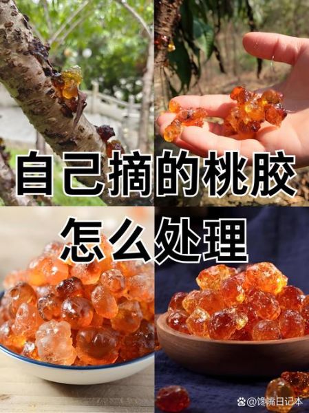 桃胶的功效与作用禁忌_桃胶怎么吃-第3张图片-山城妙识