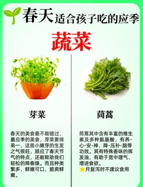 冬菜和芽菜的区别_哪个更适合炖汤-第1张图片-山城妙识