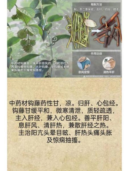 钩藤降血压效果好吗_钩藤怎么泡水喝-第1张图片-山城妙识