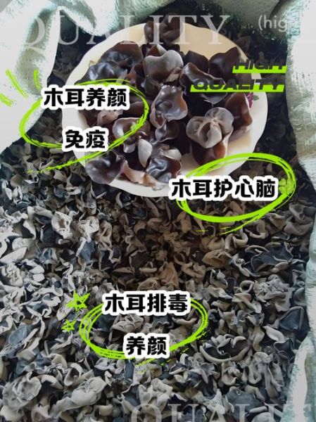 长期吃木耳的副作用_木耳吃多了会中毒吗-第2张图片-山城妙识