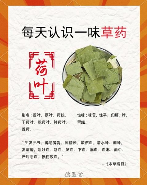 荷叶茶可以长期喝吗_荷叶茶长期饮用副作用-第1张图片-山城妙识