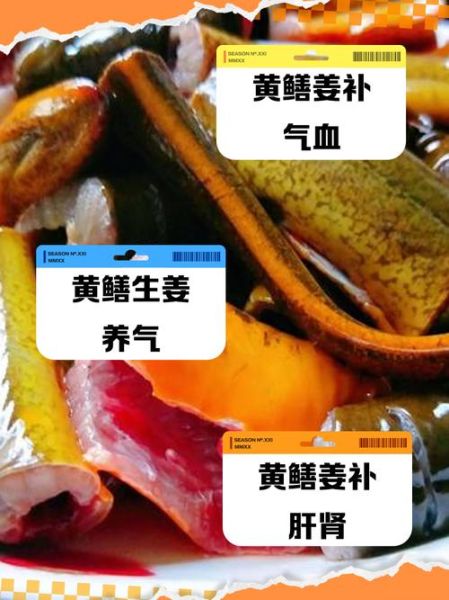 黄鳝和什么搭配最营养_黄鳝怎么吃最补-第2张图片-山城妙识 黄鳝和什么搭配最营养_黄鳝怎么吃最补-第2张图片-山城妙识
