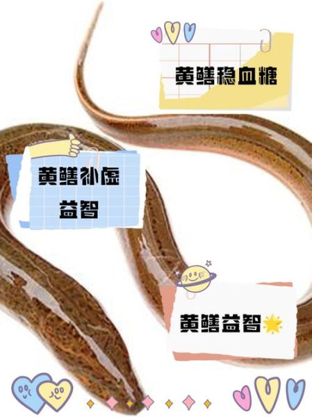 黄鳝和什么搭配最营养_黄鳝怎么吃最补-第3张图片-山城妙识 黄鳝和什么搭配最营养_黄鳝怎么吃最补-第3张图片-山城妙识