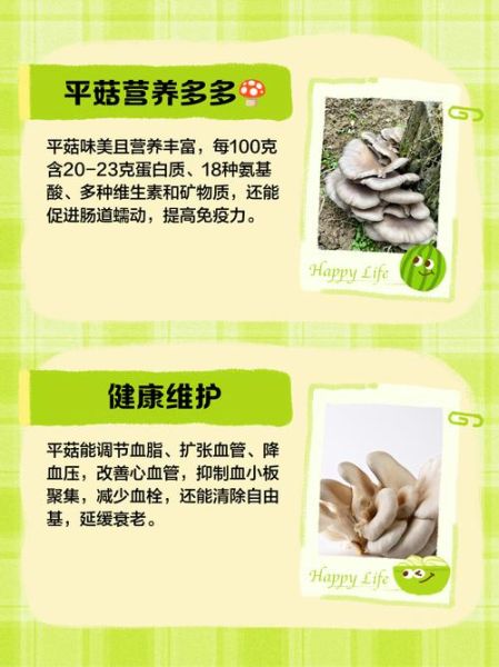 平菇怎么种植_平菇种植技术与管理-第2张图片-山城妙识