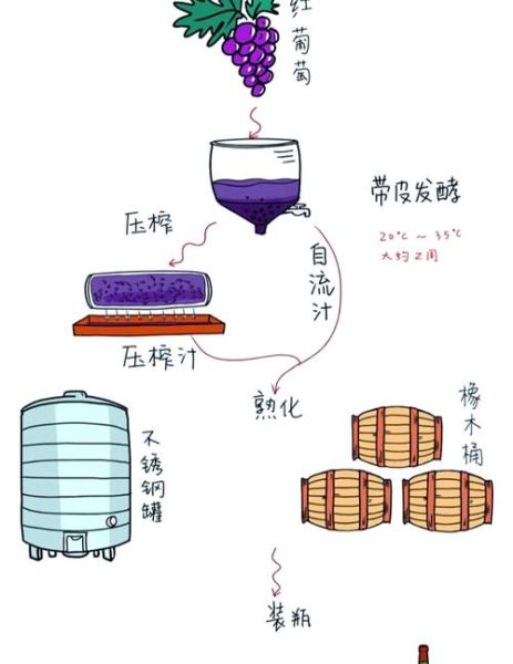 葡萄酒怎么酿造_葡萄酒厂酿造流程-第2张图片-山城妙识