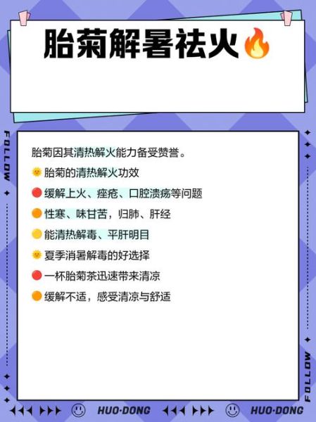 白菊花泡水喝的功效与禁忌_白菊花和胎菊哪个好-第1张图片-山城妙识