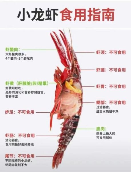 小龙虾寄生虫怎么杀死_小龙虾寄生虫高温能杀死吗-第3张图片-山城妙识