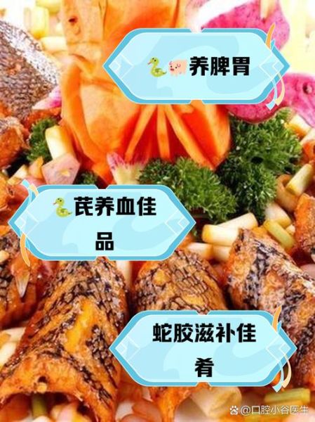 蛇汤怎么炖比较好喝_蛇汤去腥增香技巧-第1张图片-山城妙识