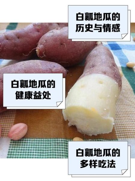 白地瓜可以减肥吗_白地瓜减肥原理-第3张图片-山城妙识