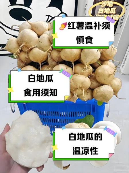 白地瓜可以减肥吗_白地瓜减肥原理-第1张图片-山城妙识