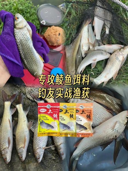 钓土鲮鱼用什么饵料最好_土鲮鱼饵料配方大全-第3张图片-山城妙识