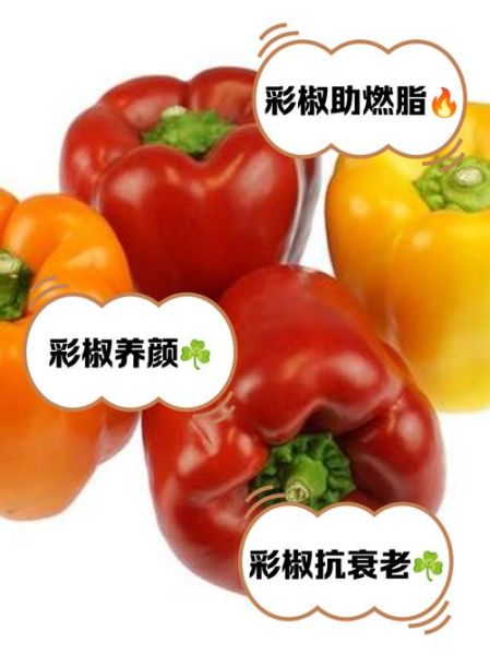 彩椒生吃有什么好处_生吃彩椒能减肥吗-第1张图片-山城妙识