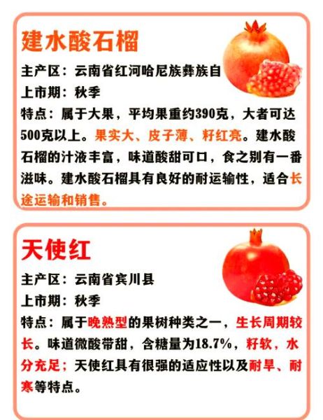 石榴的营养成分有哪些_石榴的功效与作用-第3张图片-山城妙识