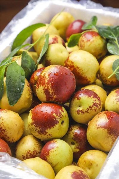 大荔冬枣图片大全_如何挑选正宗大荔冬枣-第2张图片-山城妙识