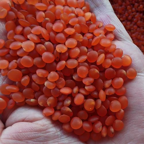 红小扁豆怎么煮_红小扁豆可以怎么吃-第1张图片-山城妙识