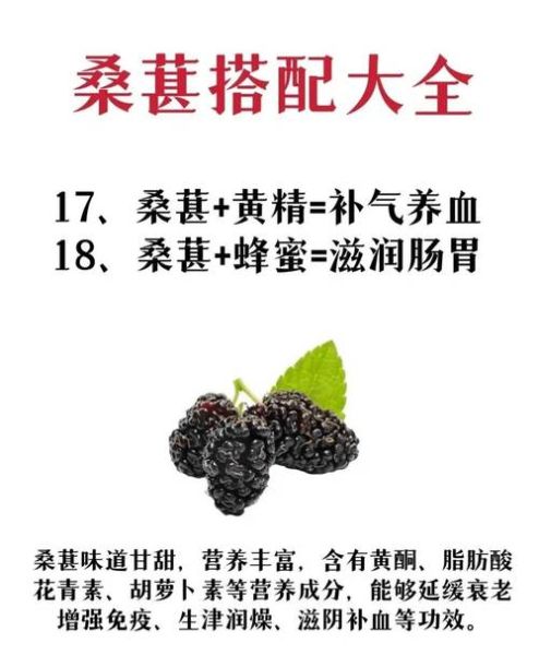 桑葚的功效与作用_桑葚怎么吃最营养-第1张图片-山城妙识